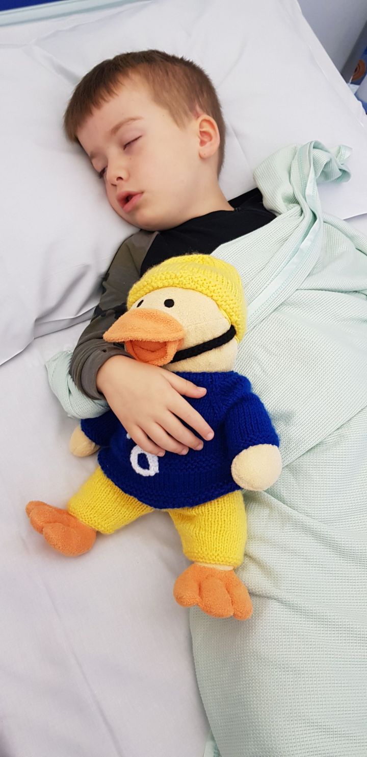 Meet Bailey – Give A Duck