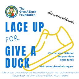 Support Us – Give A Duck